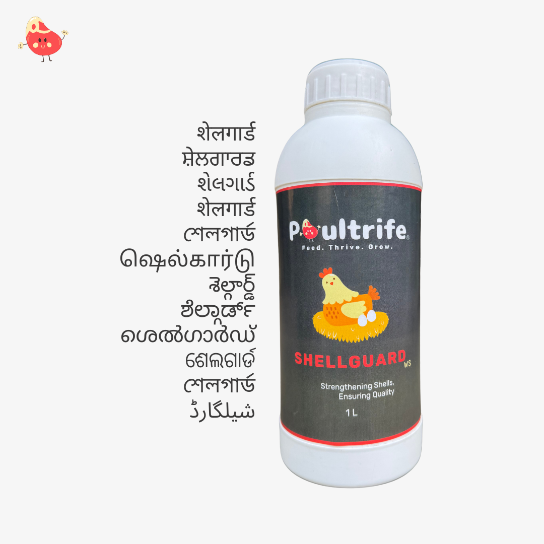 Shell Guard WS – Water-Soluble Eggshell Strength Supplement | Poultry ...